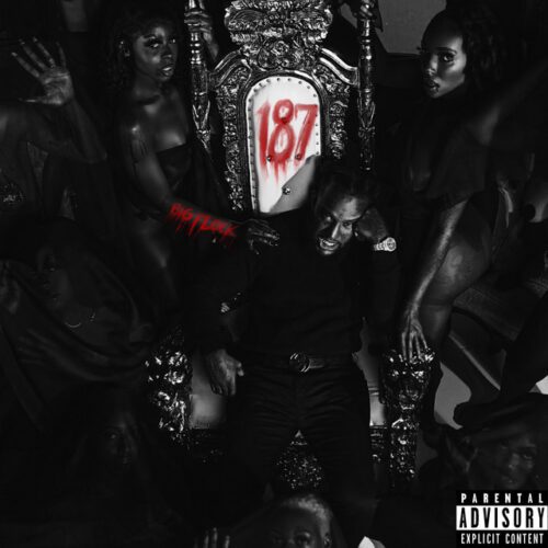 Big Flock - 187 (Digital Release)
